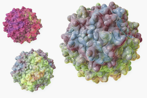 Our Technology - Adverum Biotechnologies